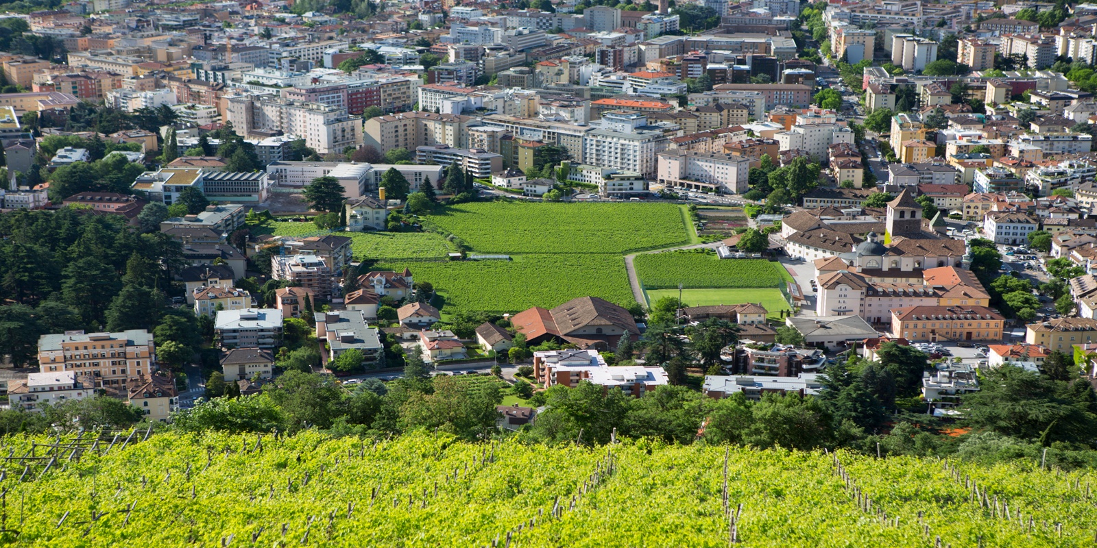 Weingut & Klosterkellerei | Muri Gries Weingut & Klosterkellerei | Muri Gries